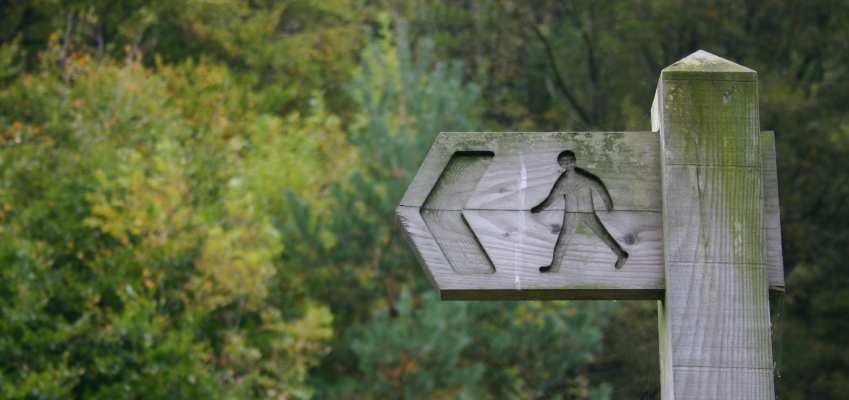 5 Steps to Provide Direction to Your Bible Study Groups - Lifeway ...